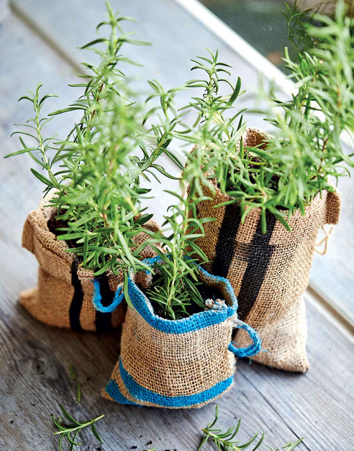 8 Awesome DIY Homes For Your Plants | SquareRooms