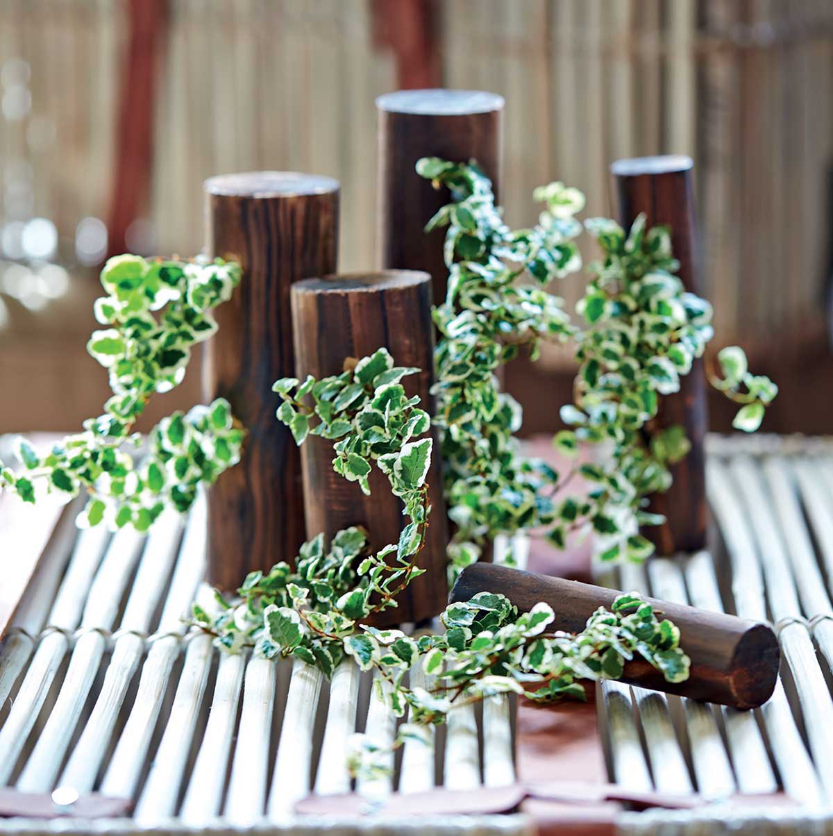 8 Awesome DIY Homes For Your Plants | SquareRooms