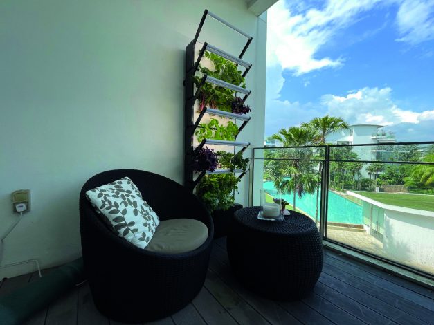 Green Oasis: Home Vertical Farms | SquareRooms